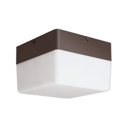 RUUD® Premium Square Soffit Light | E-SS1 Series | 70W PSMH | Quad ...